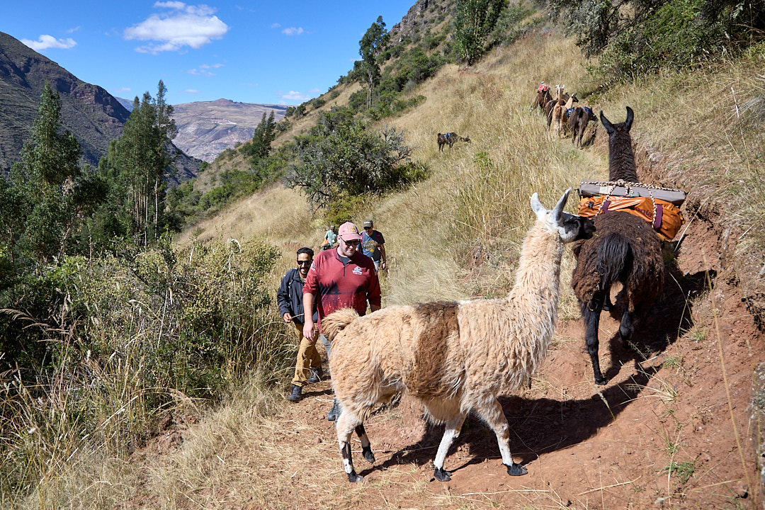 Llama Pack Project | Explorandes